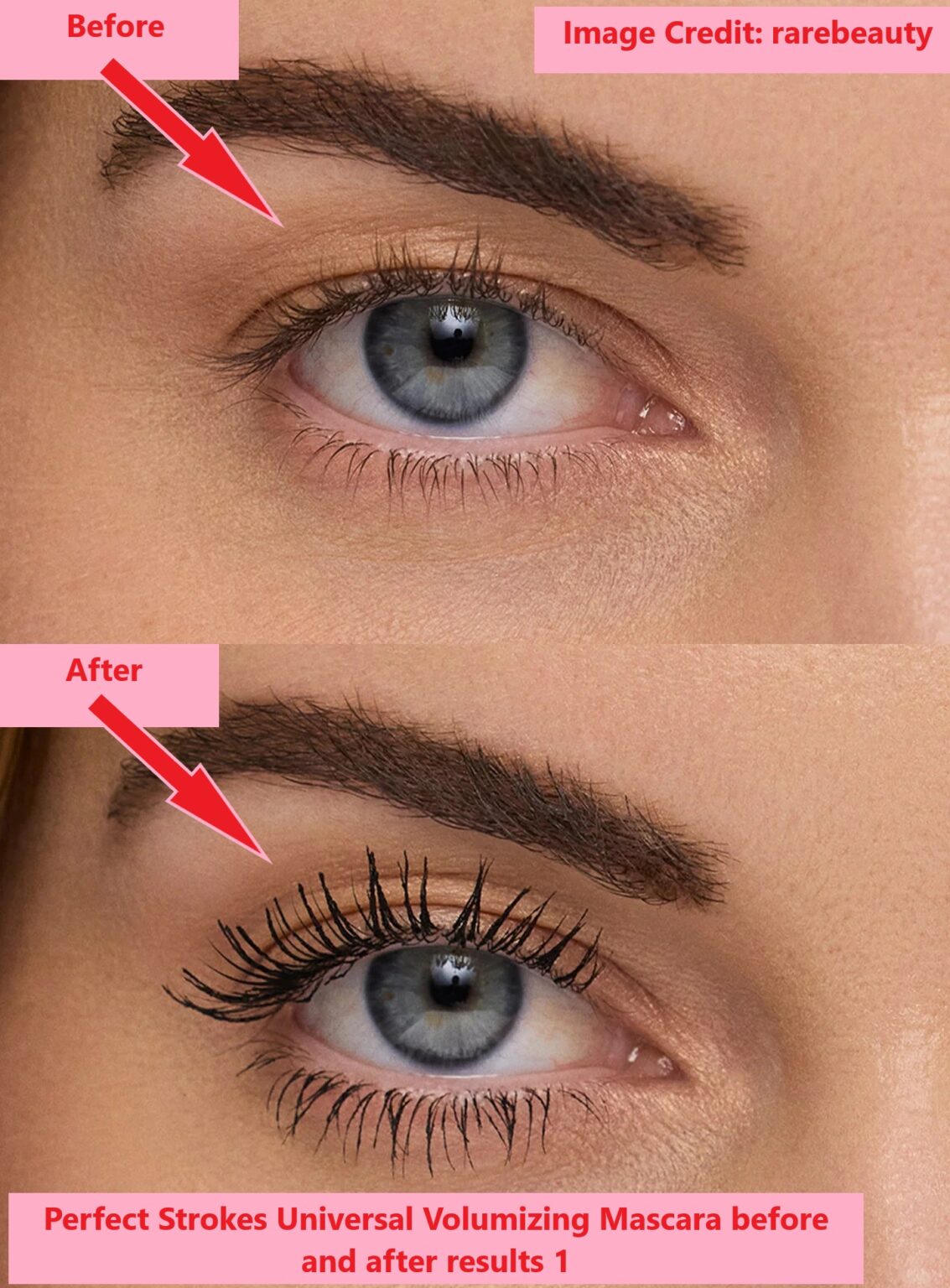 Ultimate Comparison and Review of 12 Best Mascaras