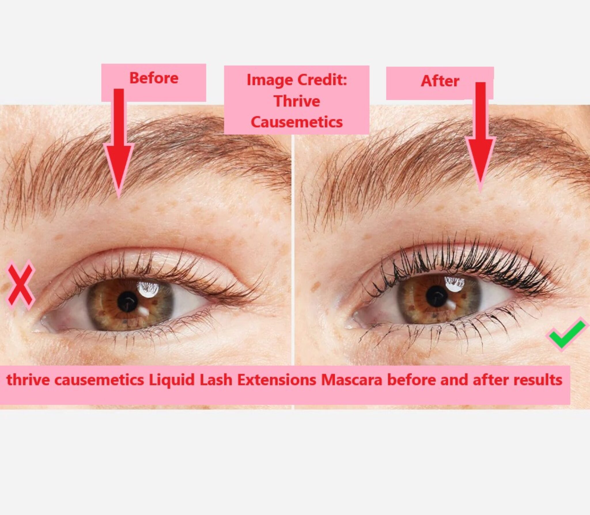 Thrive Mascara Review 2026: Liquid Lash Extensions vs Volumizer